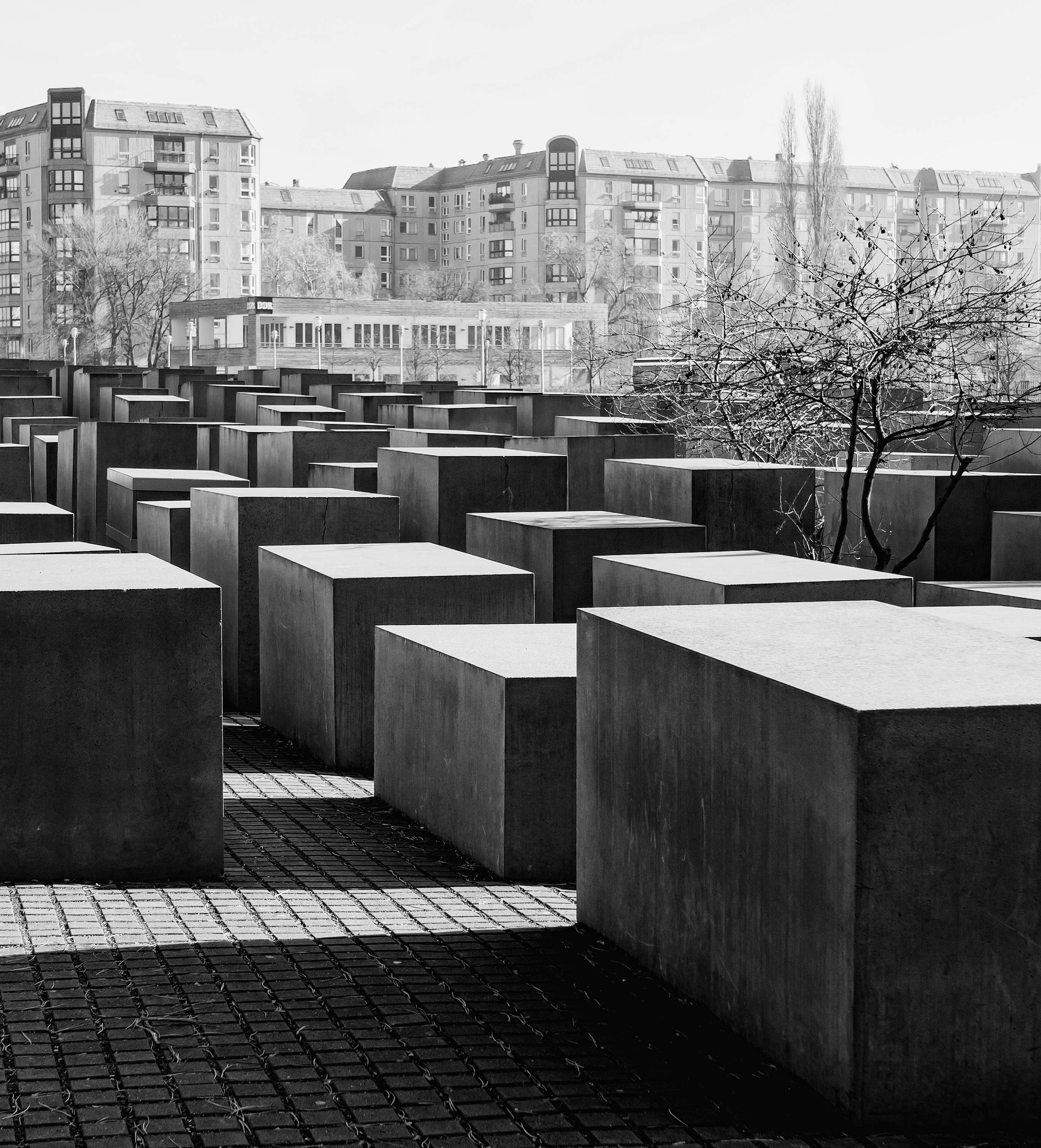 La memoria digitale della Shoah | Aula di lettere