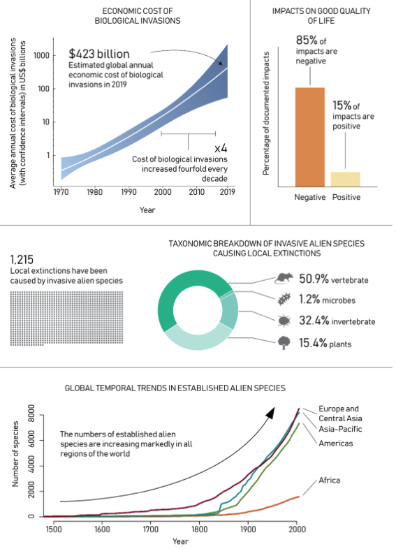 L’invasione delle specie aliene | Aula di scienze