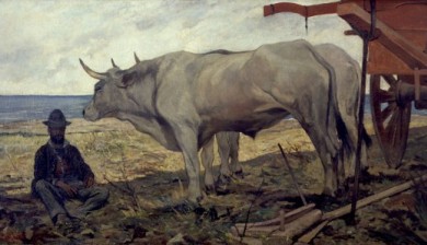 Ipallage o enallage? | Aula di lettere